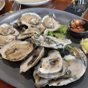 BUCO KITCHEN AND BAR - 17 Photos & 50 Reviews - 566 N. US Hwy, Tequesta ...