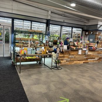 CAFE AQUI - Updated December 2025 - 158 Photos & 39 Reviews - 1811 2nd ...