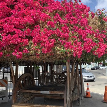 LAX-C - 667 Photos & 233 Reviews - 1100 N Main St, Los Angeles ...