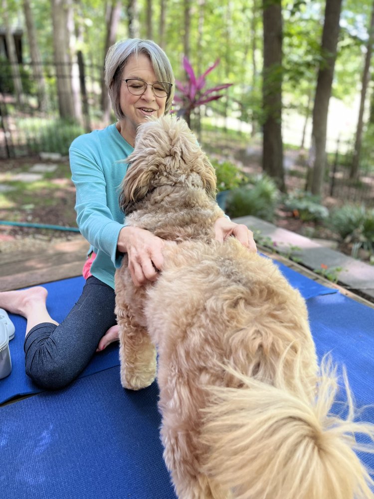 FOUR BALANCED PAWS - Updated May 2024 - Request Information - 108 ...