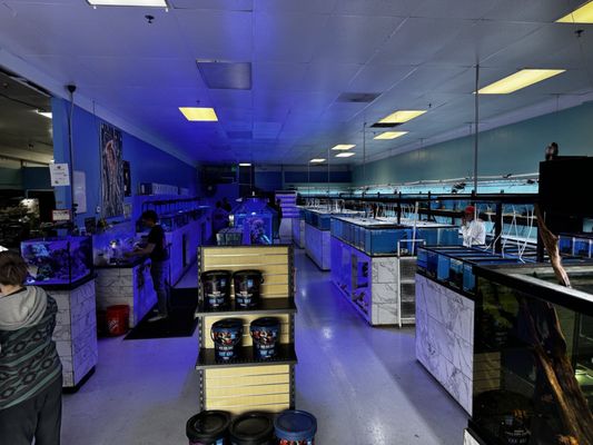 STRICTLY REEF - Updated December 2025 - 122 Photos & 68 Reviews - 907 W ...