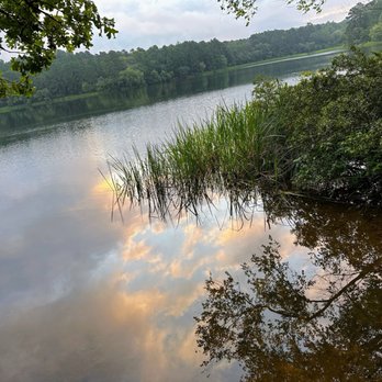 TYLER STATE PARK - Updated December 2025 - 194 Photos & 82 Reviews ...