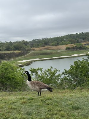 BLACK DIAMOND RANCH - Updated October 2025 - 39 Photos & 12 Reviews ...