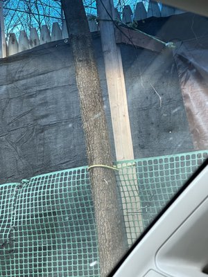 MANDY MANAGEMENT - Updated December 2025 - 28 Photos & 33 Reviews - 399 ...