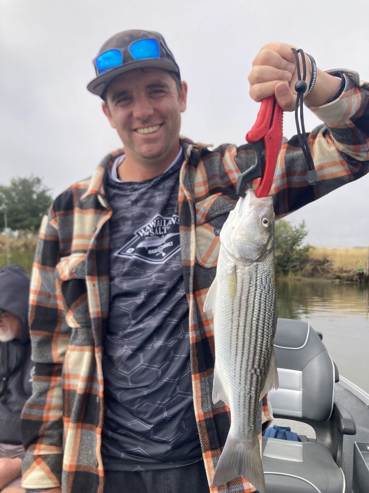 JPS REEL ADVENTURES - Updated June 2024 - 15 Photos - Roseville ...