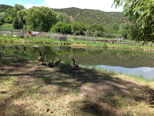 ROCK BOTTOM RANCH ASPEN CENTER FOR ENVIROMENTAL STUDIES - Updated May ...