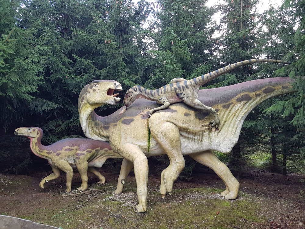 TIER-, FREIZEIT- UND SAURIERPARK GERMENDORF - Updated May 2025 - 311 ...
