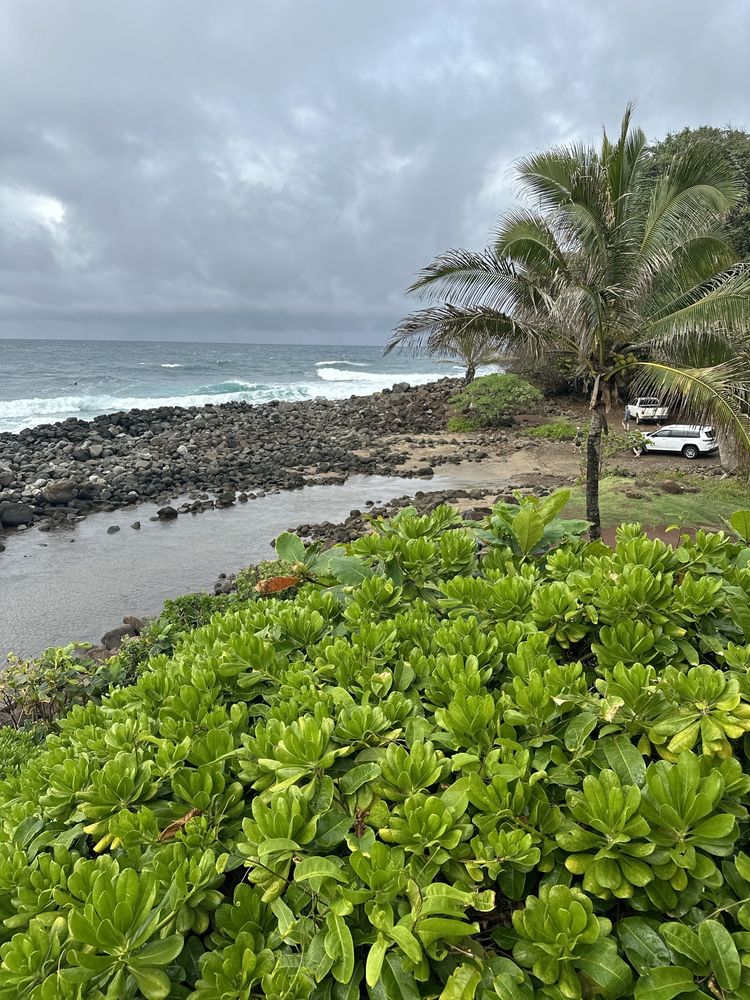 KEOKEA BEACH PARK - Updated August 2025 - 52 Photos - Keokea Beach Rd ...