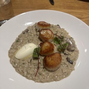 MUSSEL BAR & GRILLE - ARLINGTON - 662 Photos & 690 Reviews - 800 N ...