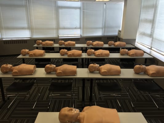 CPR123 QUEENS - Updated December 2025 - 60 Photos & 38 Reviews - 104-70 ...