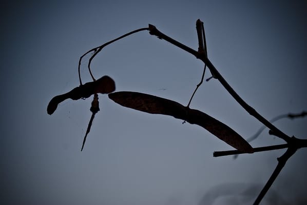 PORTLAND COMMUNITY COLLEGE - SYLVANIA CAMPUS - Updated September 2025 ...