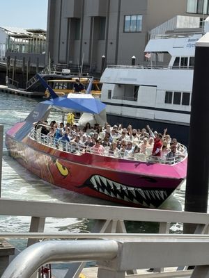 CODZILLA - Updated September 2025 - 61 Photos & 161 Reviews - 1 Long ...