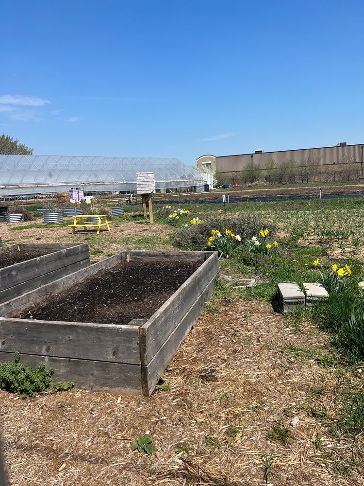 KEEP GROWING DETROIT - Updated July 2025 - 15 Photos - 1445 Adelaide St ...