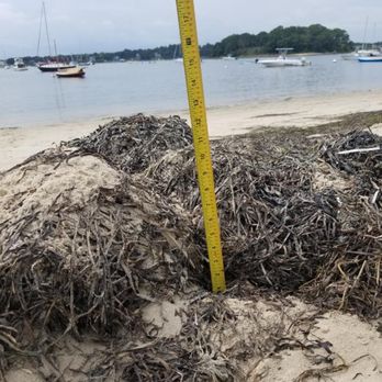 ONSET BEACH - Updated December 2025 - 42 Photos & 23 Reviews - 182 ...