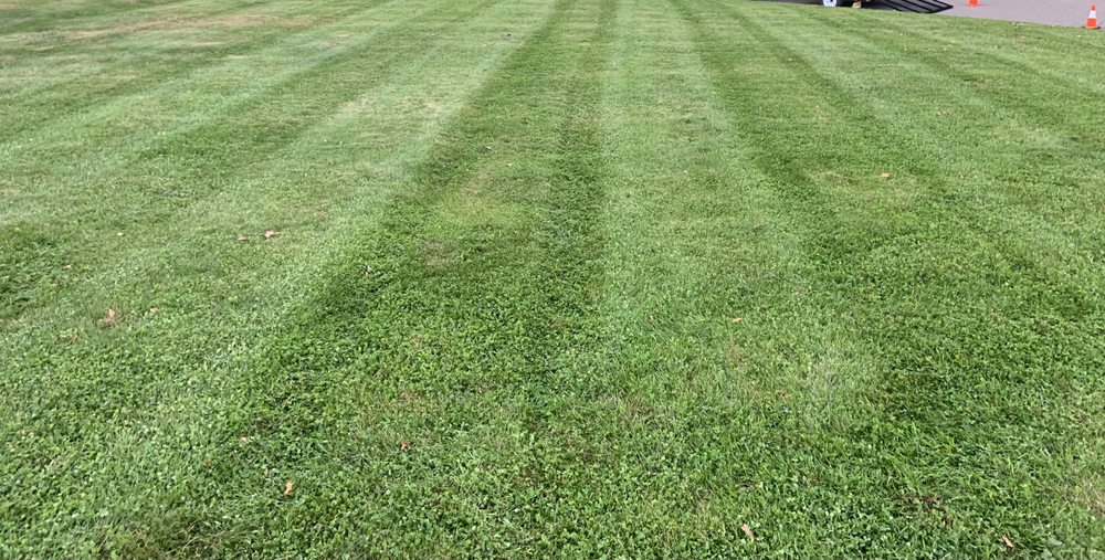 PITCHERS PERFECTION PROPERTIES - Request Consultation - Lawn Services ...