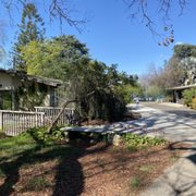 UCR BOTANIC GARDENS - 580 Photos & 117 Reviews - 1 Botanic Gardens Dr ...