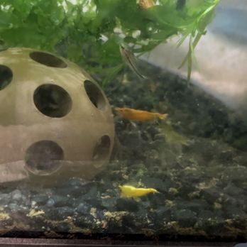 THE FISH BARN - Updated February 2025 - 36 Photos & 35 Reviews - 19 ...