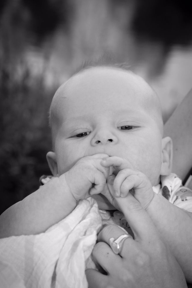 SIERRA NEVADA PHOTOS - Updated May 2024 - 41 Photos - 835 Lotus Rd ...