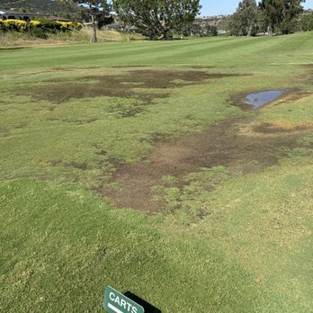 THE LINKS AT LAKEHOUSE - Updated June 2025 - 87 Photos & 127 Reviews ...