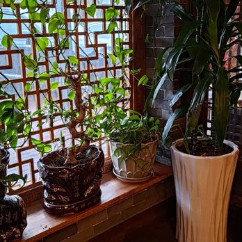 SZECHUAN OPERA - 339 Photos & 182 Reviews - 630 Park Ave, Rochester ...