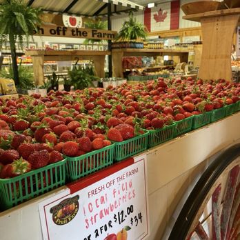 DEVRIES FRUIT FARM - Updated December 2025 - 825 Canboro Road, Fenwick, Ontario - Fruits ...