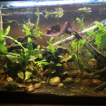 CK FISH WORLD - Updated May 2024 - 412 Photos & 446 Reviews - 541 North ...
