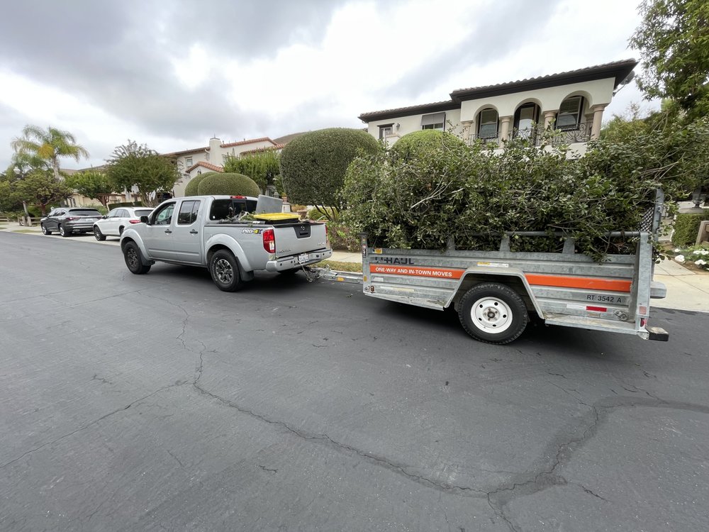 LEAD SAW TREE SERVICES - Updated June 2025 - 14 Photos - Simi Valley ...