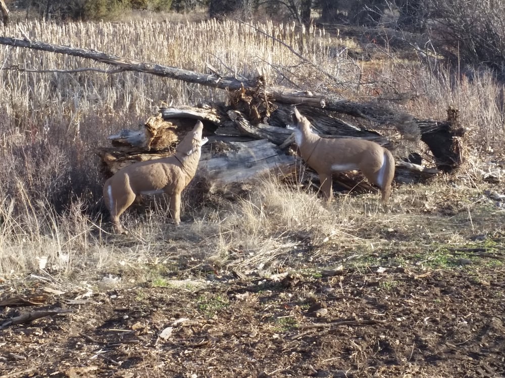 THREE FORKS ARCHERY - Updated July 2025 - 11227 US Hwy 287, Three Forks ...