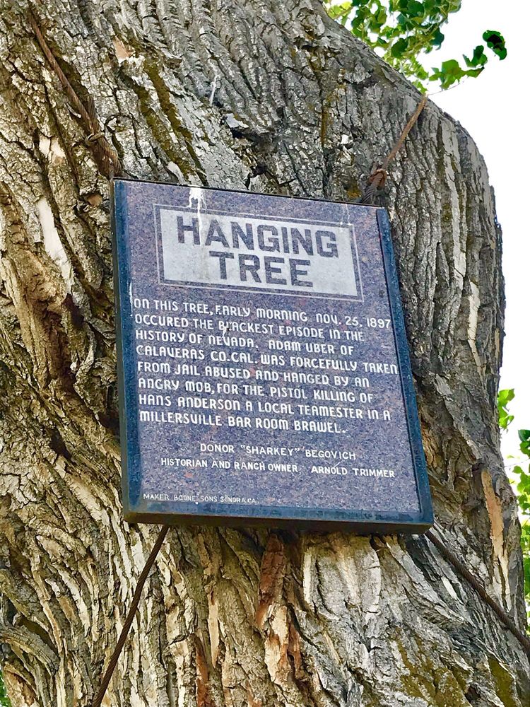 THE HANGING TREE - Updated December 2025 - Genoa, Nevada - Landmarks ...