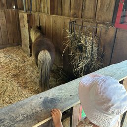 SUSON PARK - Updated August 2025 - 159 Photos & 42 Reviews - 6059 Wells ...