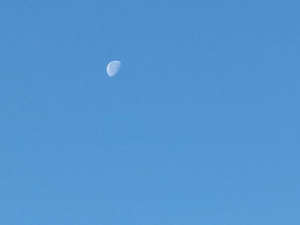 MOON REAL ESTATE - Updated December 2024 - Request Information - Oxford ...