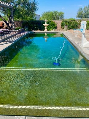 ARIZONA PIMA CHEMICAL POOL SERVICE - Updated December 2025 - 55 Reviews ...