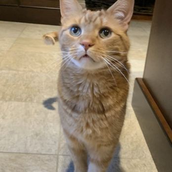 ORADELL ANIMAL HOSPITAL - Updated December 2025 - 108 Photos & 520 ...