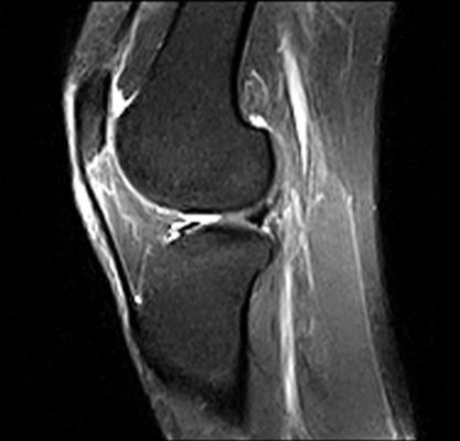 WILSON IMAGING - Updated October 2025 - 14 Photos & 10 Reviews - 222 ...