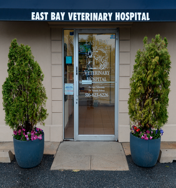 EAST BAY VETERINARY HOSPITAL - Updated October 2025 - 22 Photos & 25 ...
