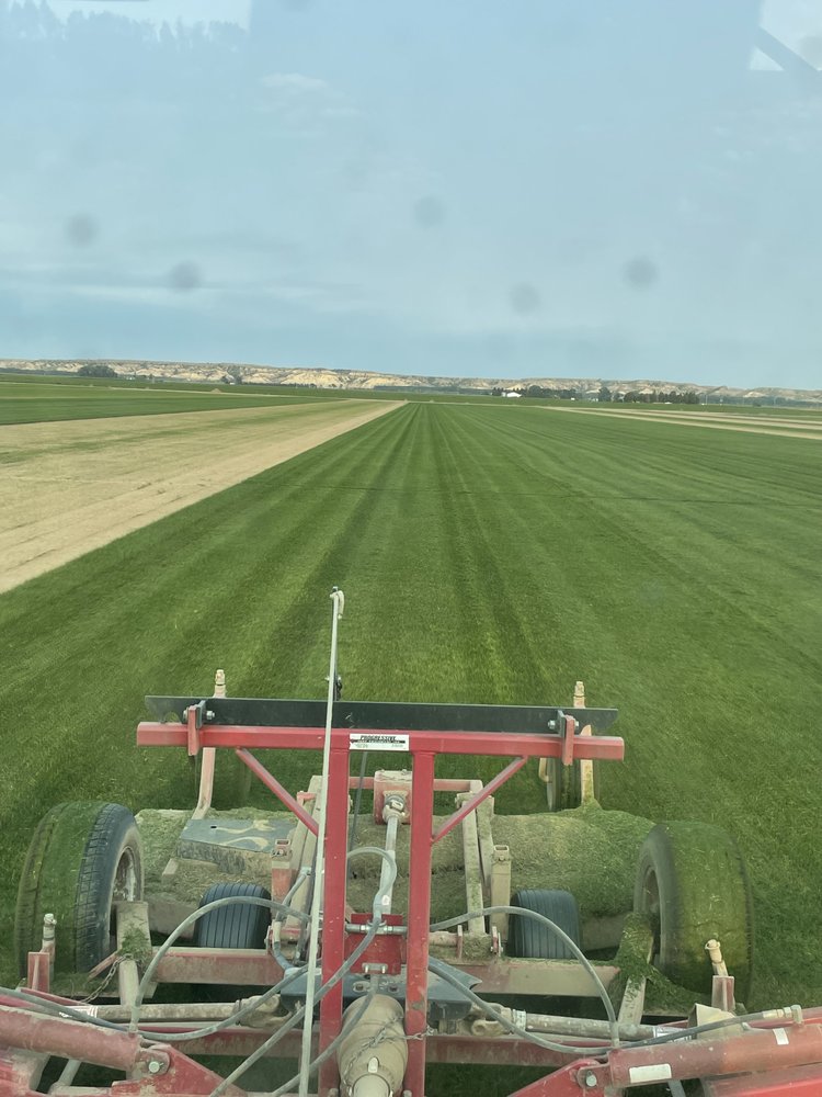 YELLOWSTONE VALLEY TURF FARM - Updated August 2025 - Request a Quote ...