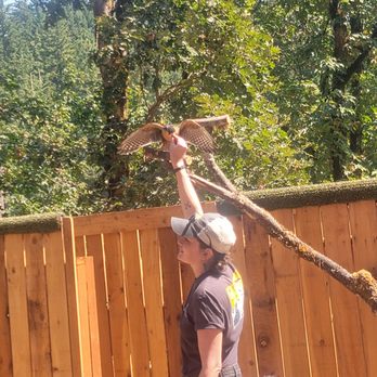 CASCADES RAPTOR CENTER - Updated November 2025 - 158 Photos & 115 ...