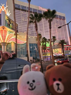 CARTZILLA - Updated November 2025 - 143 Photos & 13 Reviews - 304 S ...