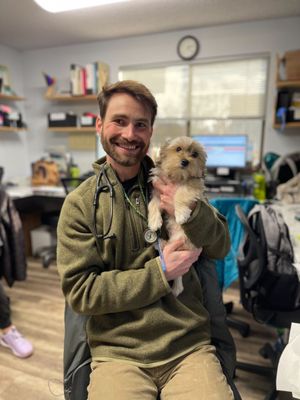 BOTHELL PET HOSPITAL - VETERINARY CLINIC - Updated August 2025 - 23 ...