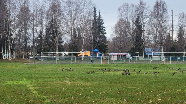 SPRINGER PARK - Updated July 2025 - 3809 Arctic Blvd, Anchorage, Alaska ...