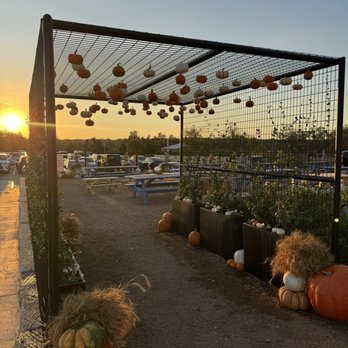 WHISKEY RIDGE - Updated January 2026 - 268 Photos & 111 Reviews - 8750 ...