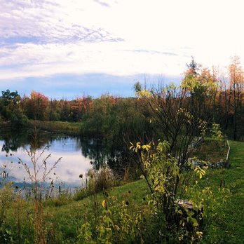 TREE SPA AT HIDDEN POND - Updated November 2025 - 14 Photos - 354 Goose ...