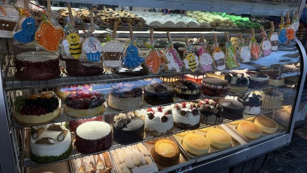 PANEANTICO BAKERY - Updated December 2025 - 454 Photos & 493 Reviews ...