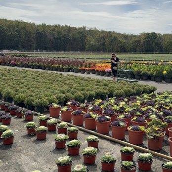 GASKO’S FAMILY FARMS - Updated June 2026 - 107 Photos & 235 Reviews ...