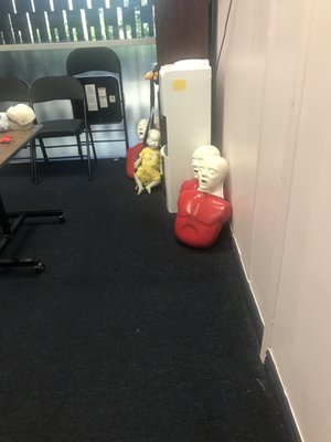 BLS EXPRESS CPR - Updated November 2024 - 48 Photos & 121 Reviews - 360 E 7th St, Upland ...