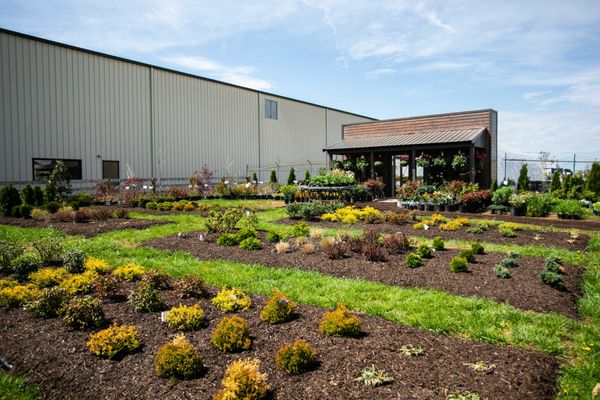 MACKENZIE’S FLOWERS - Updated January 2026 - 14 Photos & 10 Real ...