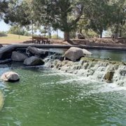FREESTONE PARK - 187 Photos & 92 Reviews - Parks - 1045 E Juniper Rd ...