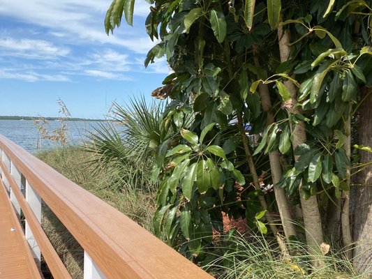 DUNEDIN MARINA - Updated September 2024 - 50 Photos & 10 Reviews - 158 ...