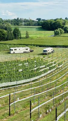 GRANDVIEW VINEYARD - 91 Photos & 41 Reviews - 1489 Grandview Rd, Mount ...