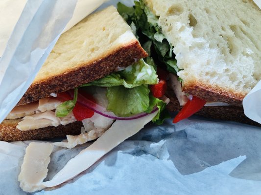 PANINO - Updated July 2024 - 79 Photos & 86 Reviews - 1014 Coast ...